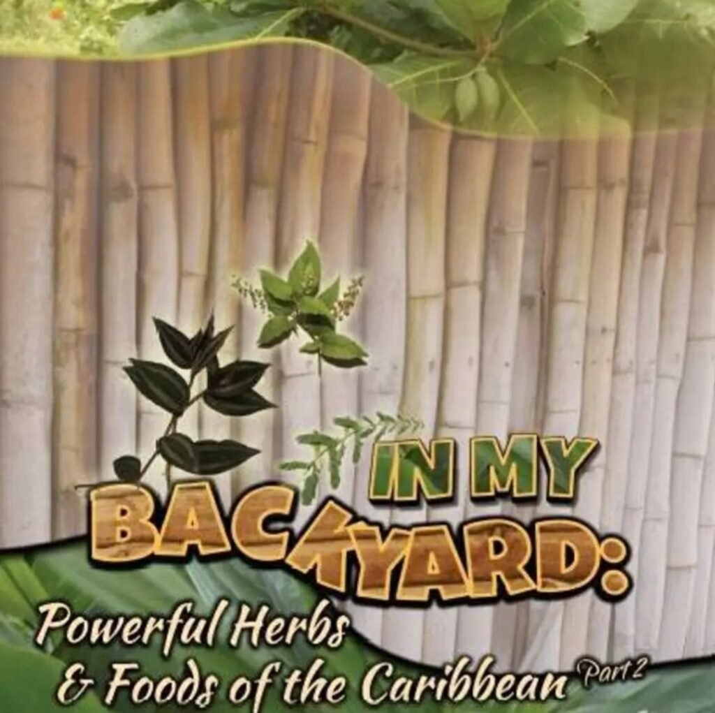 In My Backyard part 2 - Let's Go Natural Trinidad & Tobago