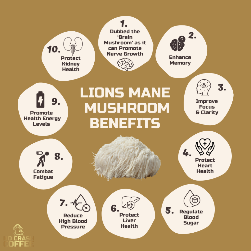 Lion's Mane Mushroom Powder - Let's Go Natural Trinidad & Tobago